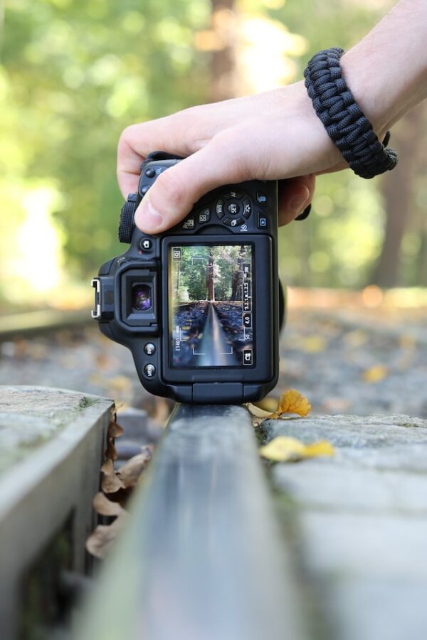 Landscape Photography Tips for Beginners - 5 Easy Editing Tips - Javy ...
